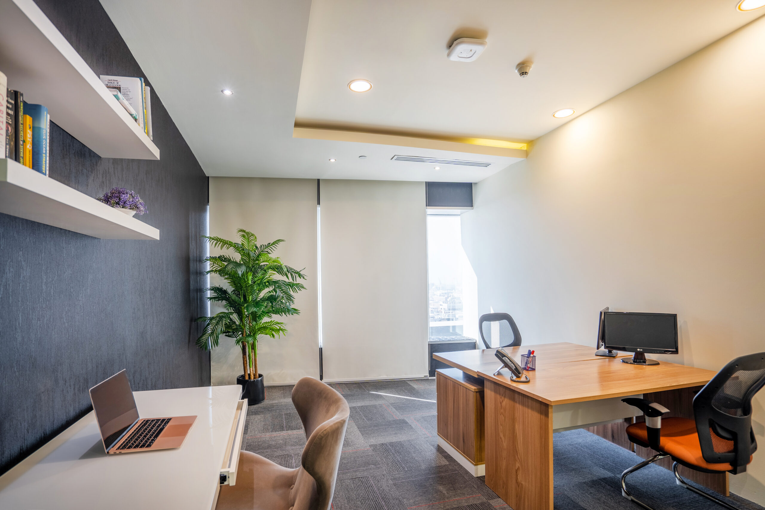 Spider Business Gallery | Spider Business Center